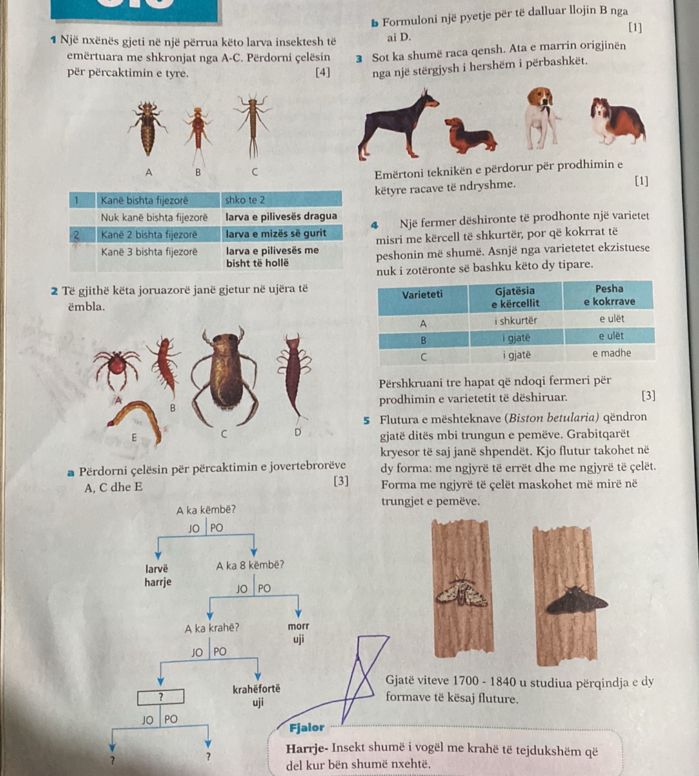 1 Një nxënës gjeti në një përrua këto larva | StudyX