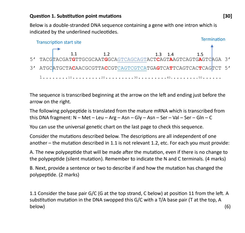 Question 1. Substitution point mutations | StudyX
