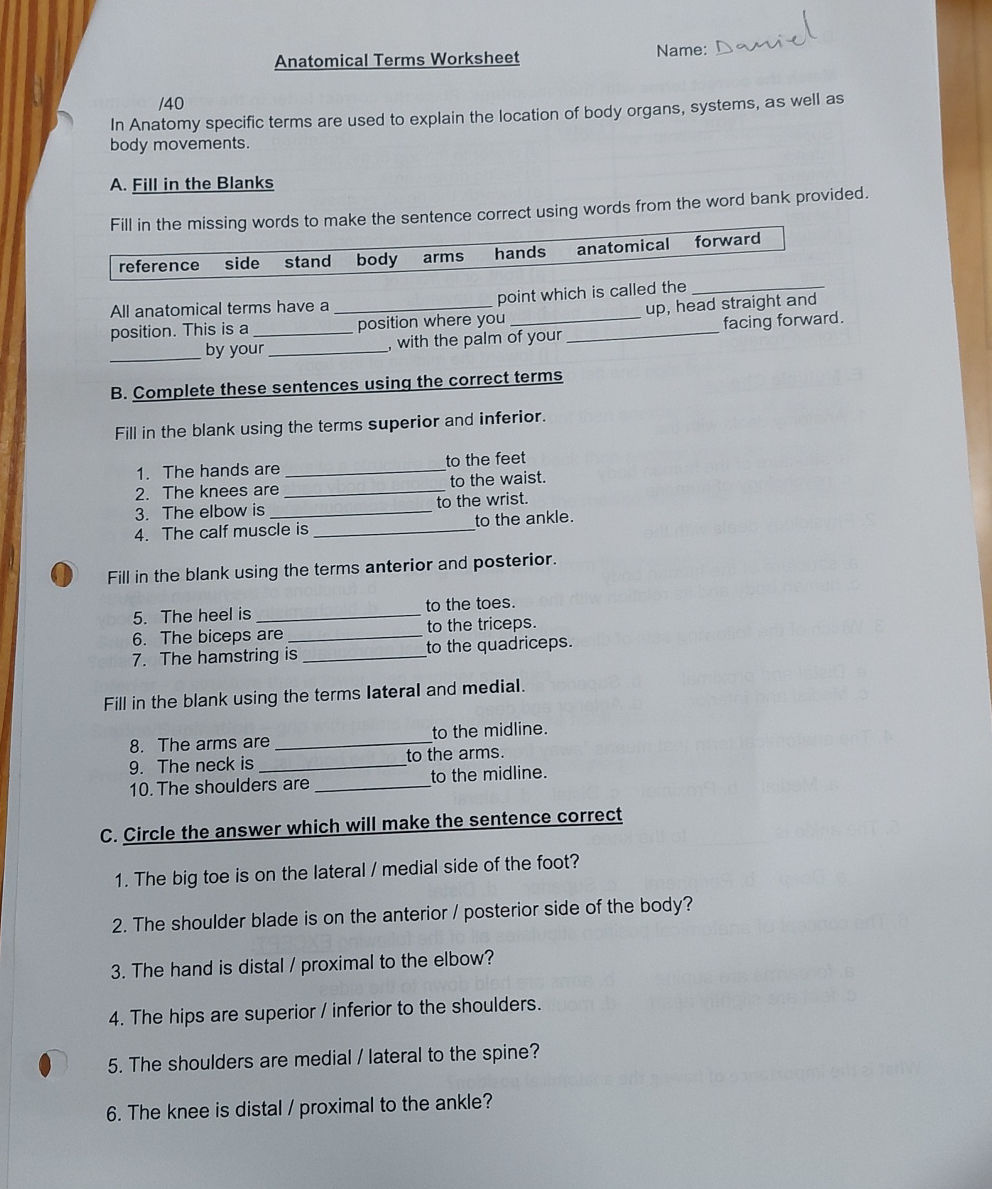 A. Fill in the Blanks Fill in the missing | StudyX