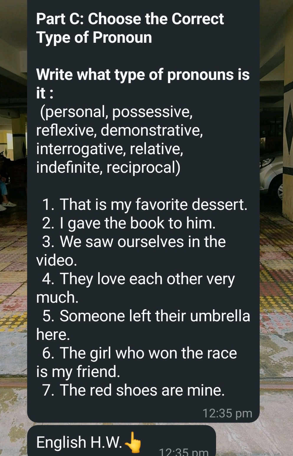 Part C: Choose the Correct Type of Pronoun | StudyX