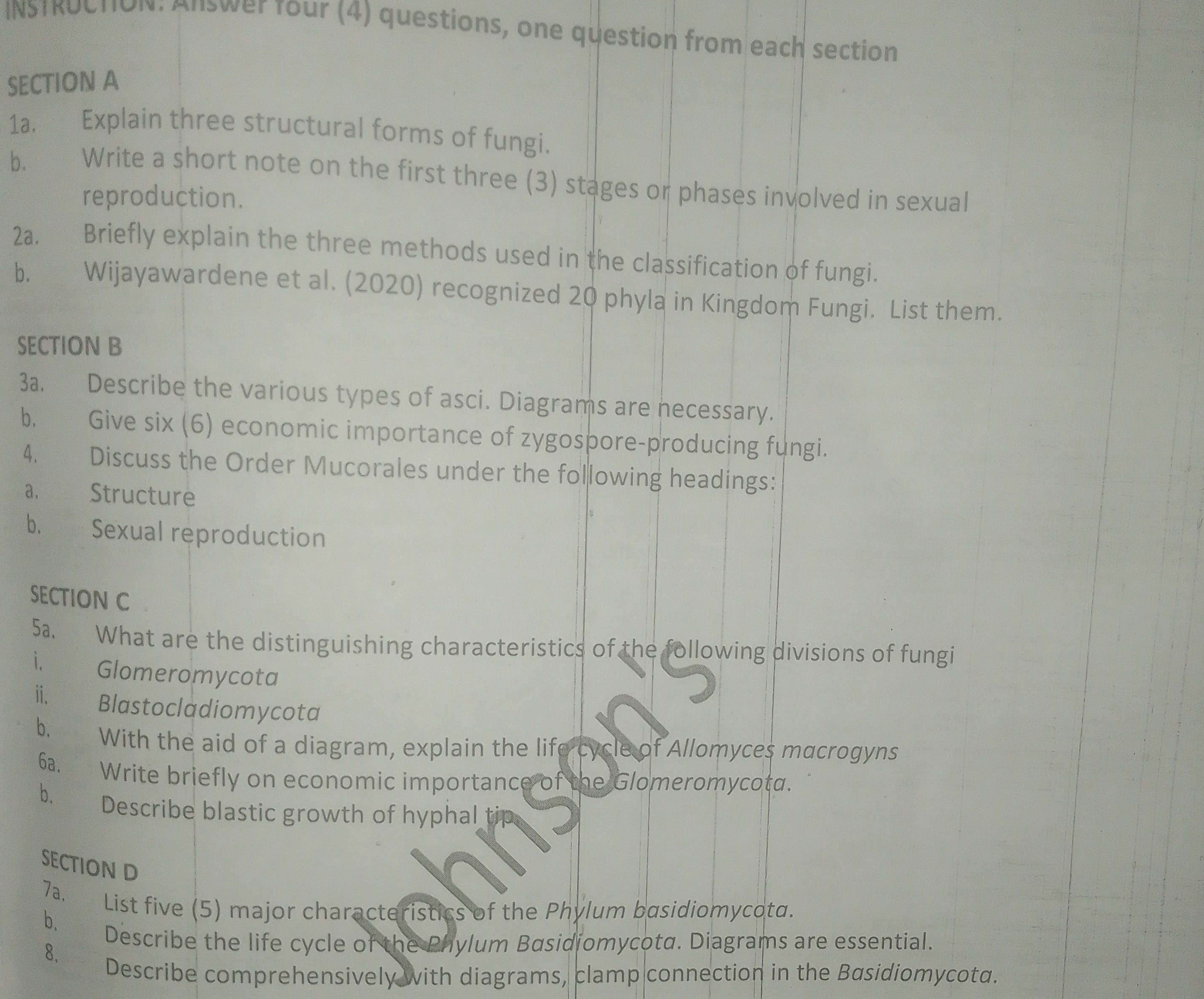 SECTION A 1a. Explain three structural forms | StudyX