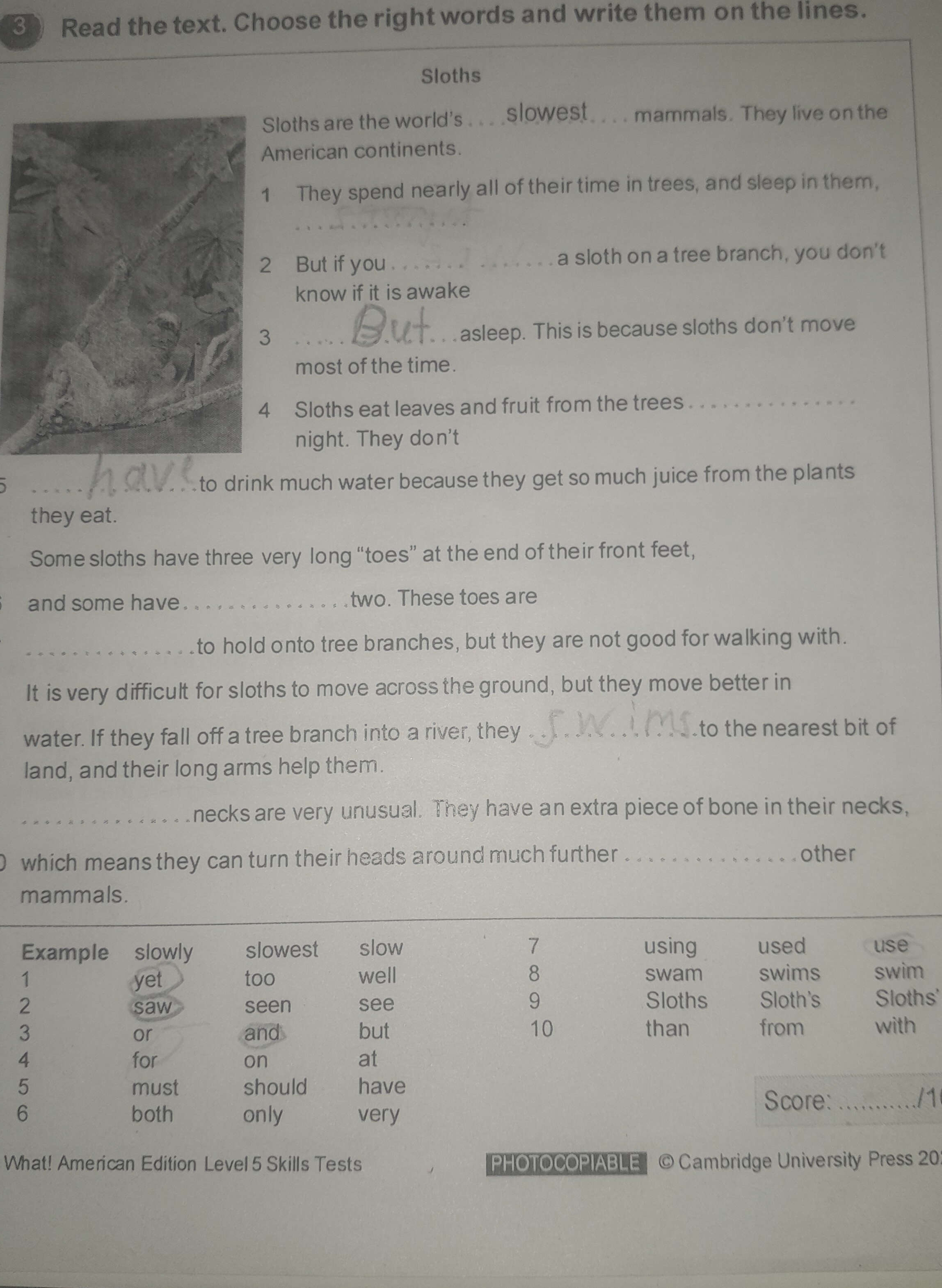 Read the text. Choose the right words and | StudyX