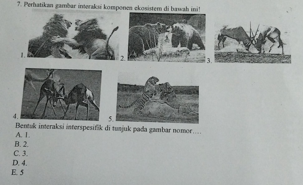 7. Perhatikan gambar interaksi komponen | StudyX