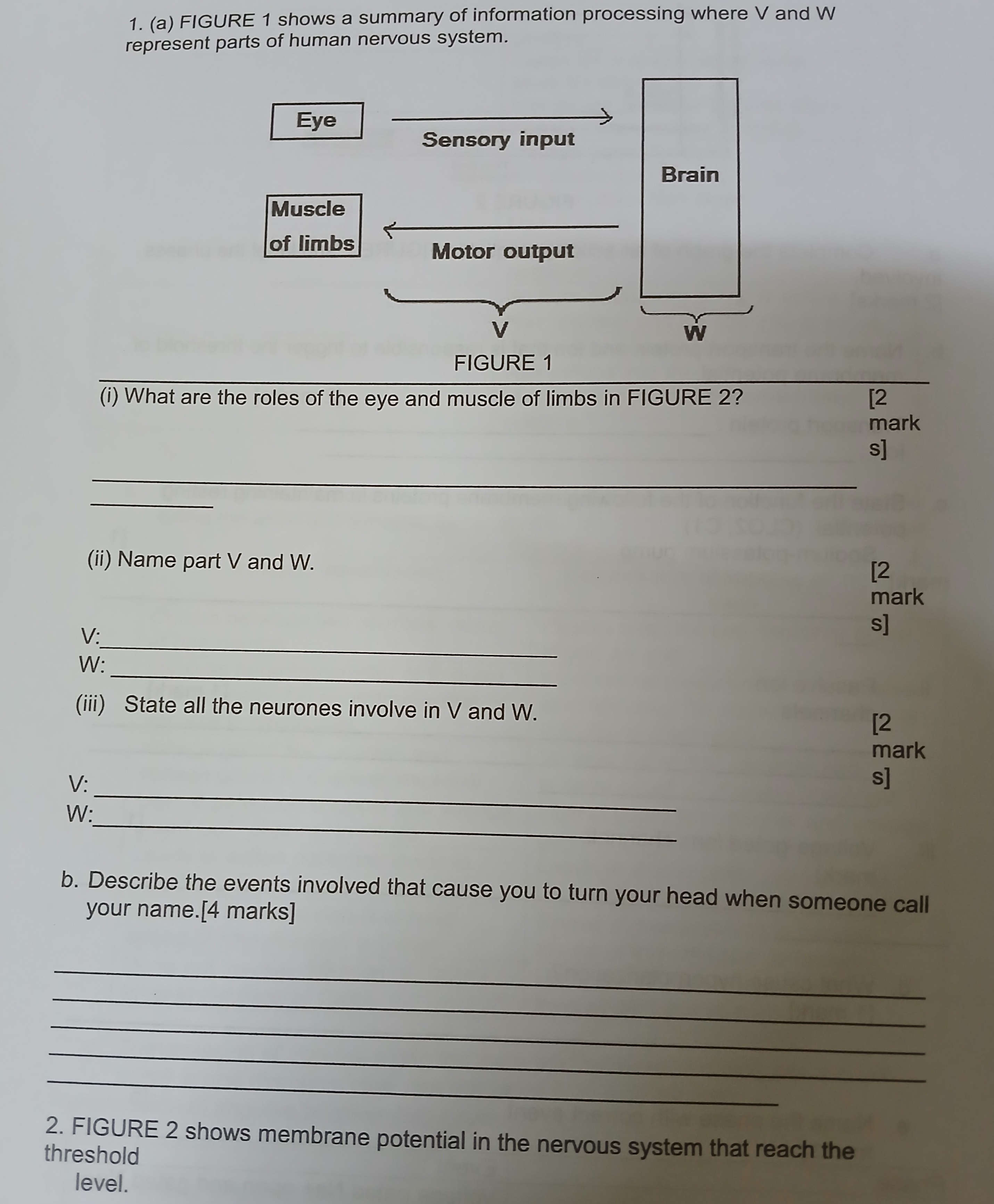 1. (a) FIGURE 1 shows a summary of | StudyX