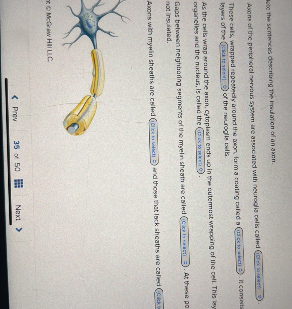Complete the sentences describing the | StudyX