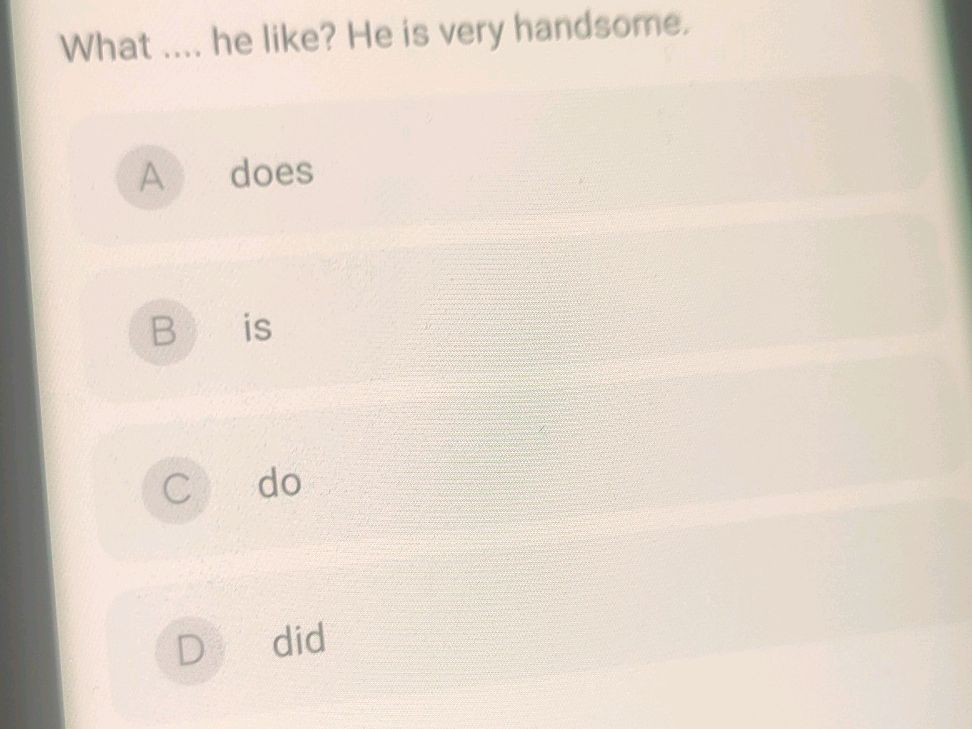 What .... he like? He is very handsome. A | StudyX