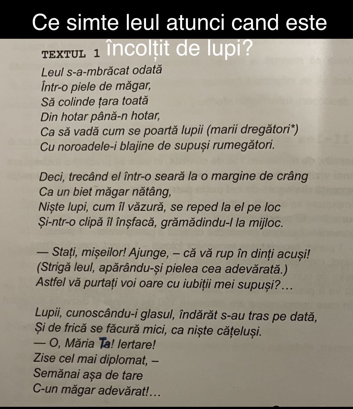 Ce simte leul atunci cand este încolțit de | StudyX