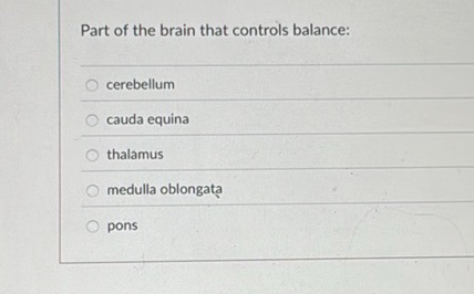 Part of the brain that controls balance: | StudyX