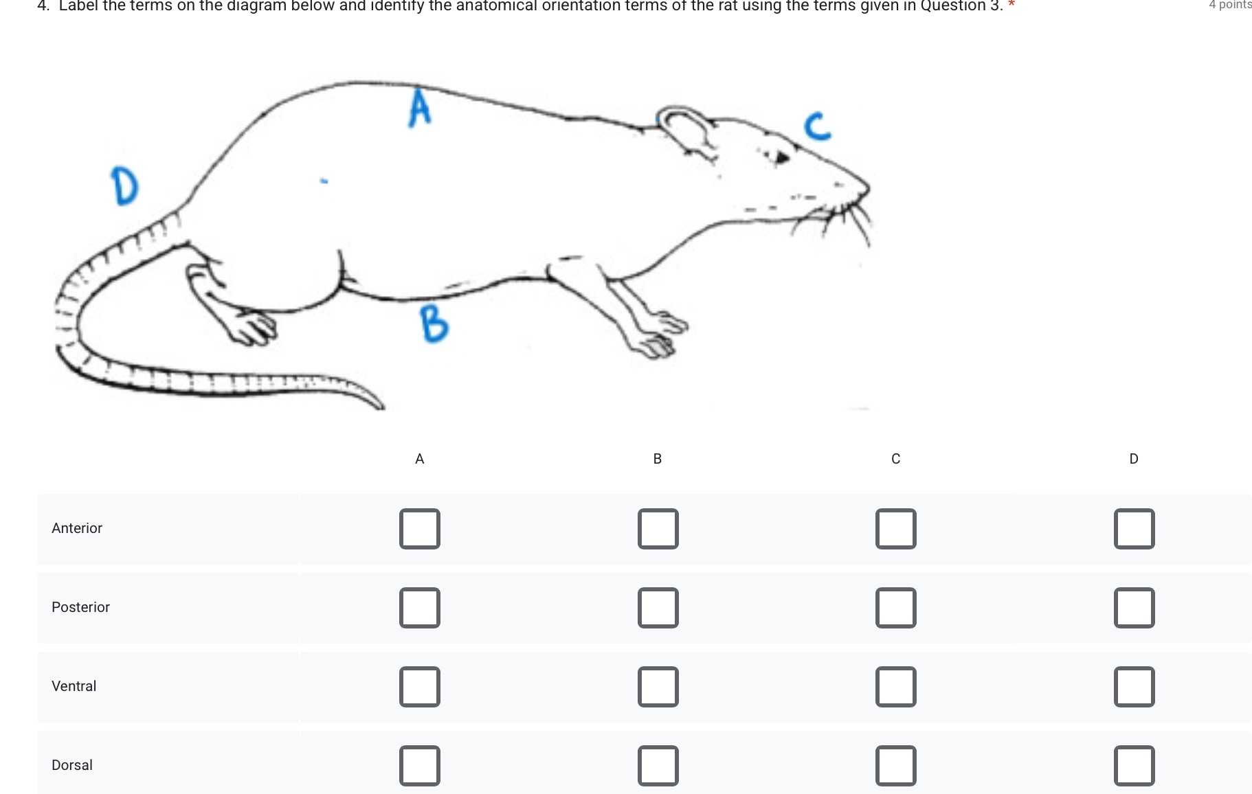 4. Label the terms on the diagram below and | StudyX