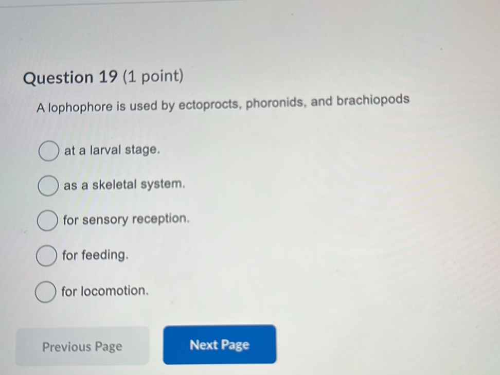Question 19 (1 point) A lophophore is used | StudyX
