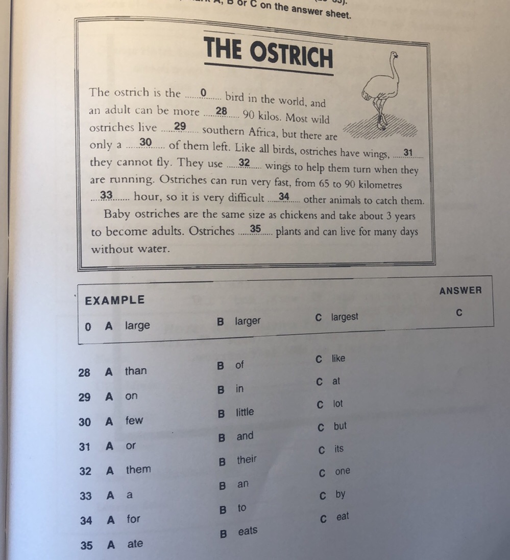 The ostrich is the 0 bird in the world, and | StudyX