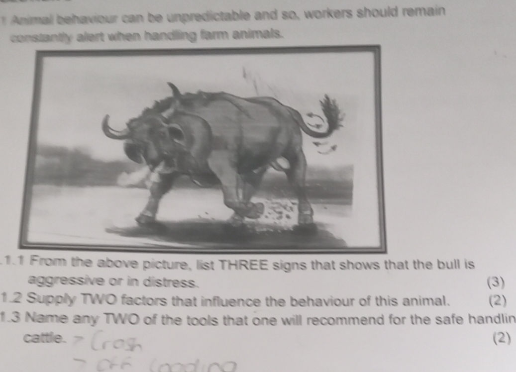 1.1 From the above picture, list THREE signs | StudyX