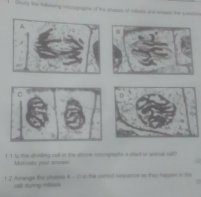 1. Study the following micrographs of the | StudyX
