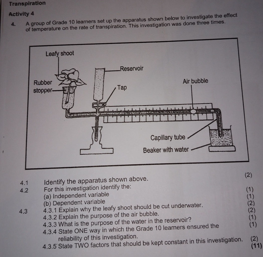 4. A group of Grade 10 learners set up the | StudyX