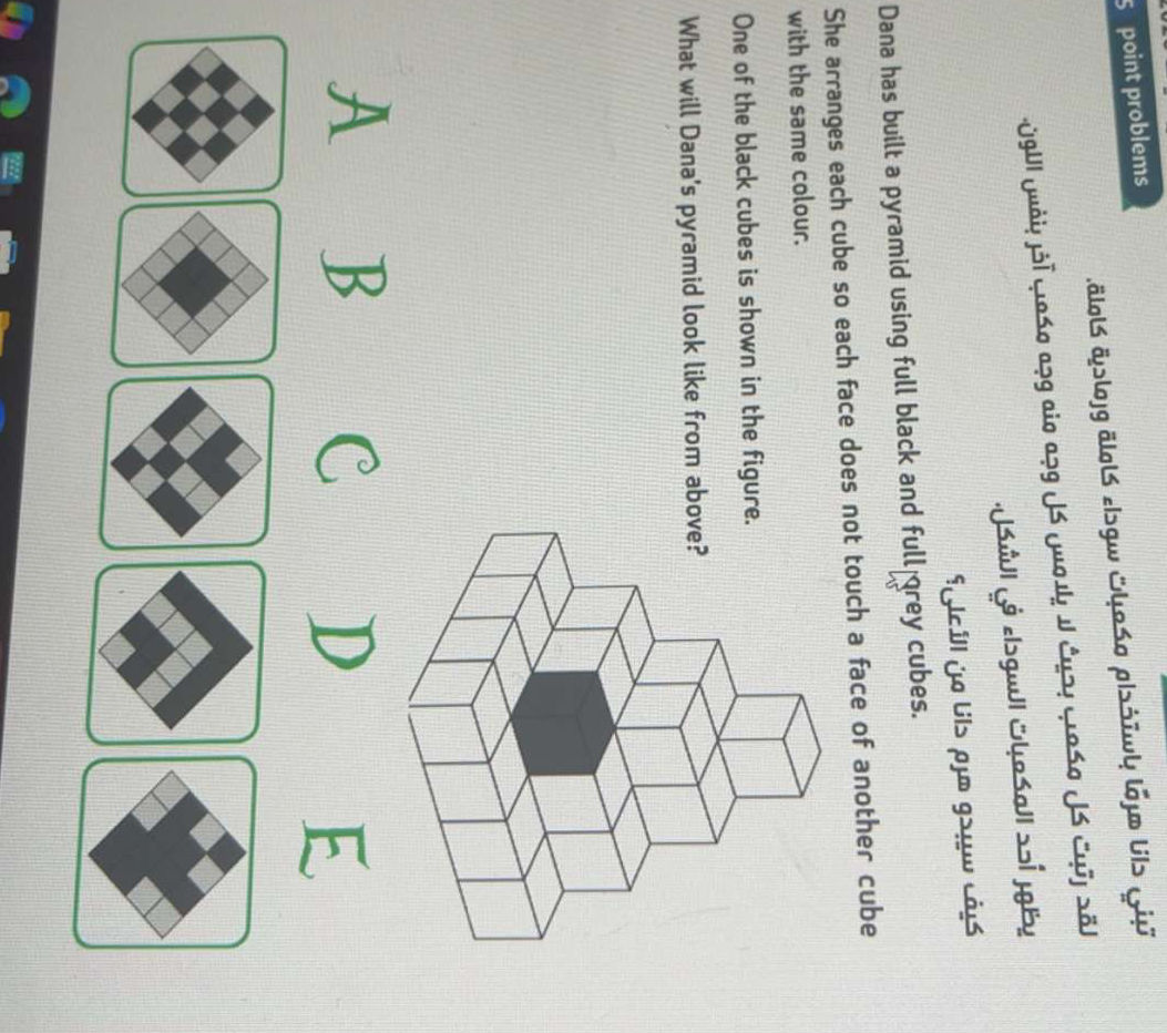Dana has built a pyramid using full black | StudyX
