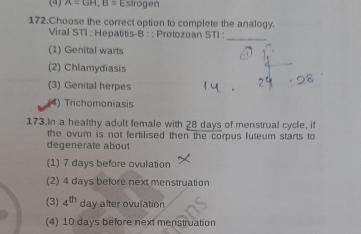 172. Choose the correct option to complete | StudyX
