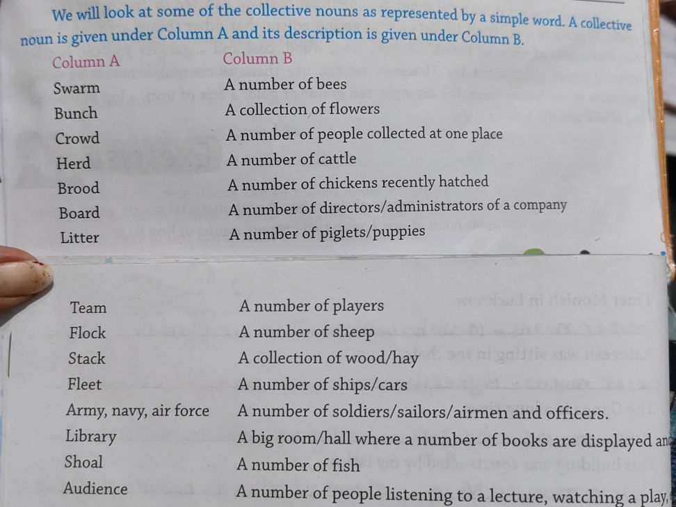 We will look at some of the collective nouns | StudyX