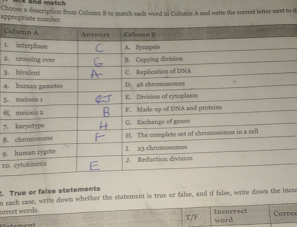 Choose a description from Column B to match | StudyX