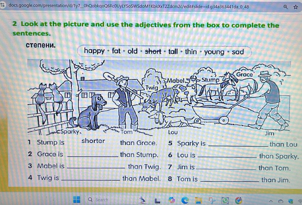 Look at the picture and use the adjectives | StudyX