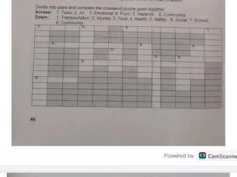 Divide into pairs and complete the crossword | StudyX