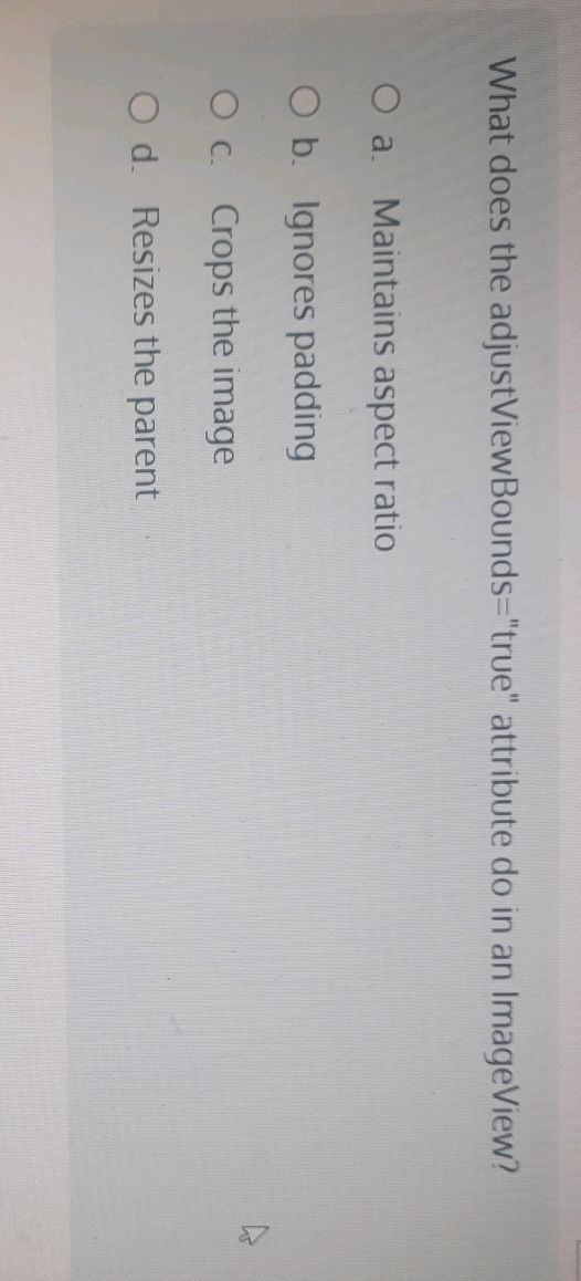 What does the adjustViewBounds="true" | StudyX