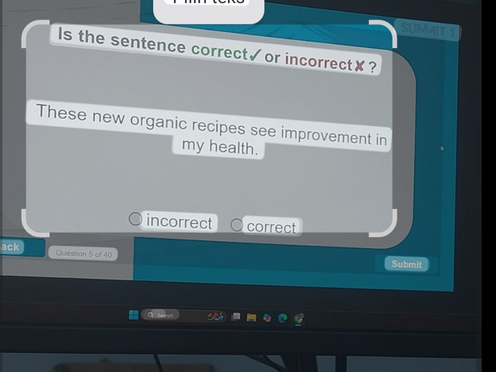 Is the sentence correct or incorrect? These | StudyX