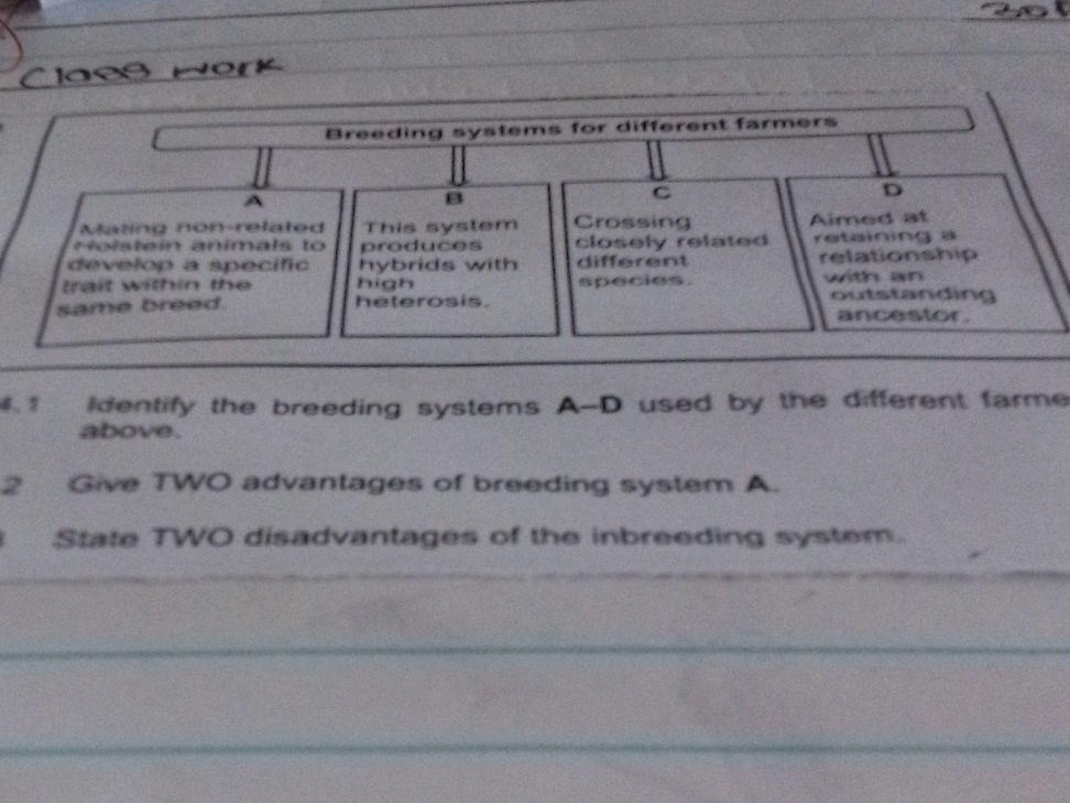 Breeding systems for different farmers A | StudyX