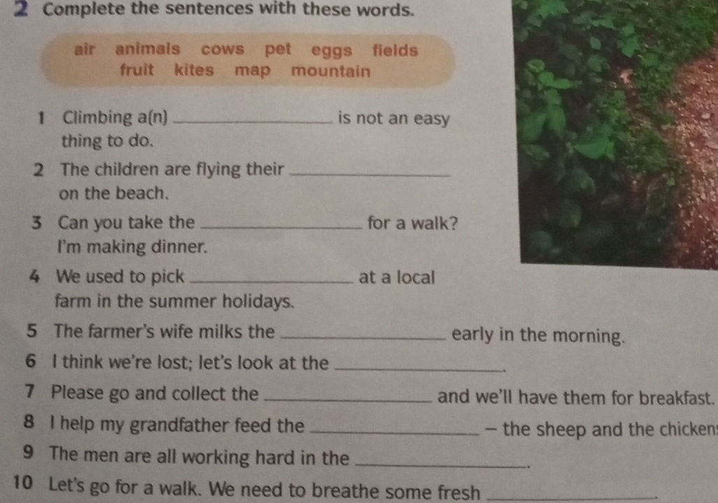 2 Complete the sentences with these words. | StudyX