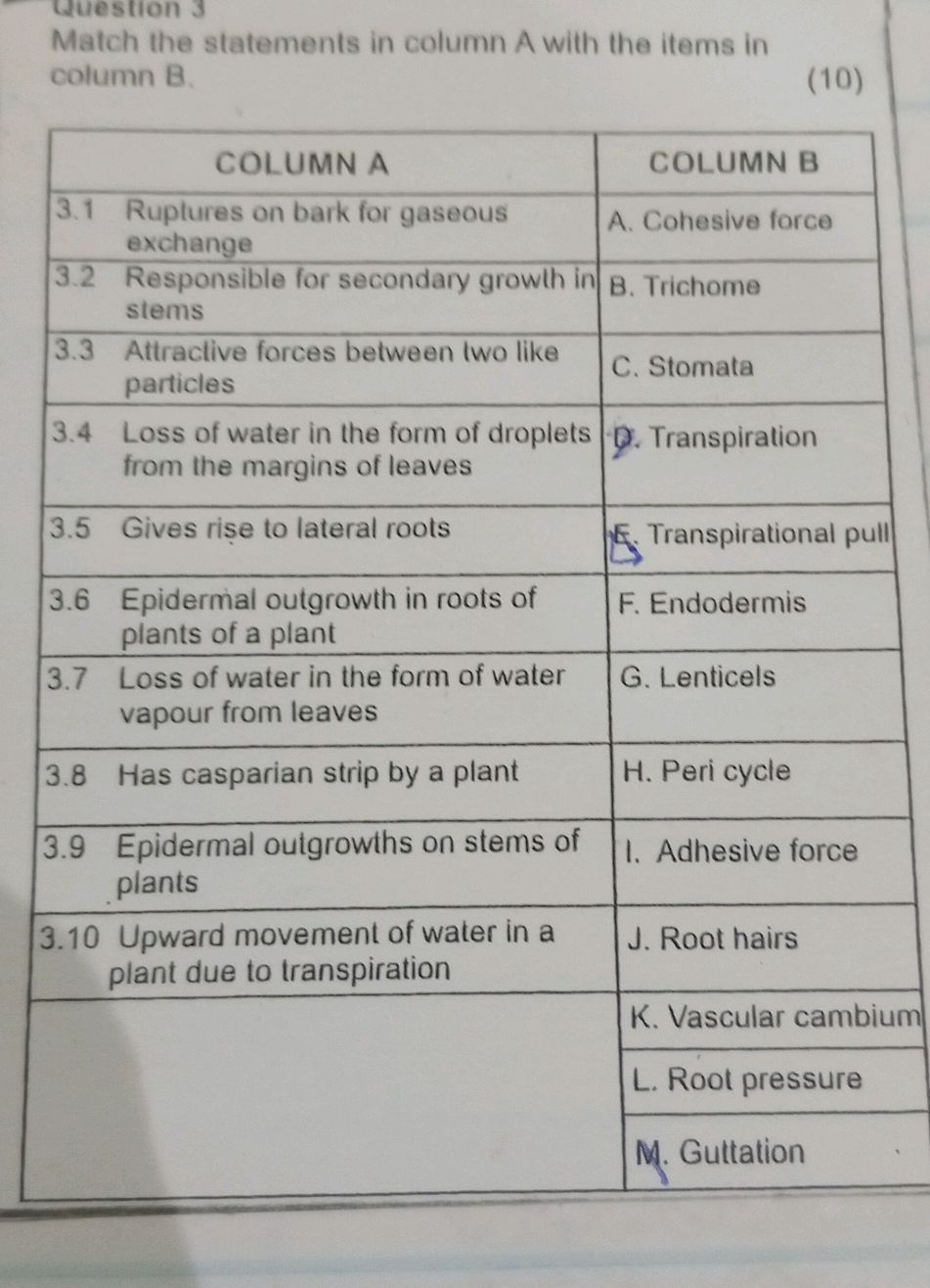 Match the statements in column A with the | StudyX