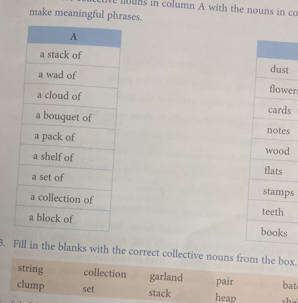 1. Match the collective nouns in column A | StudyX