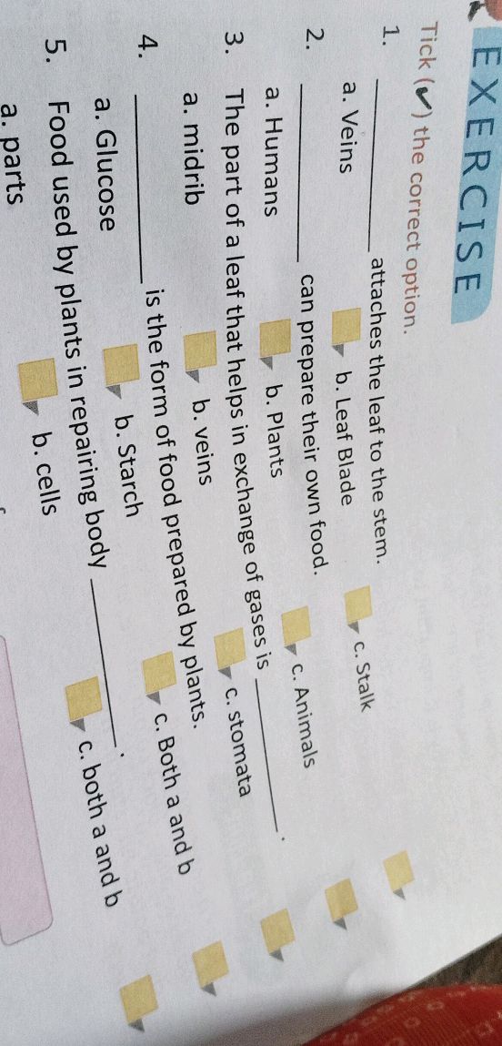 Tick ( ) the correct option. 1. attaches | StudyX