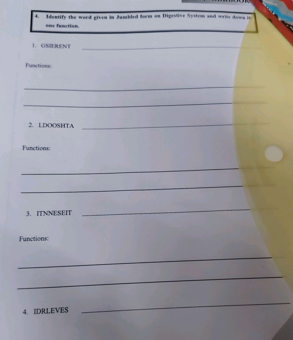 4. Identify the word given in Jumbled form | StudyX