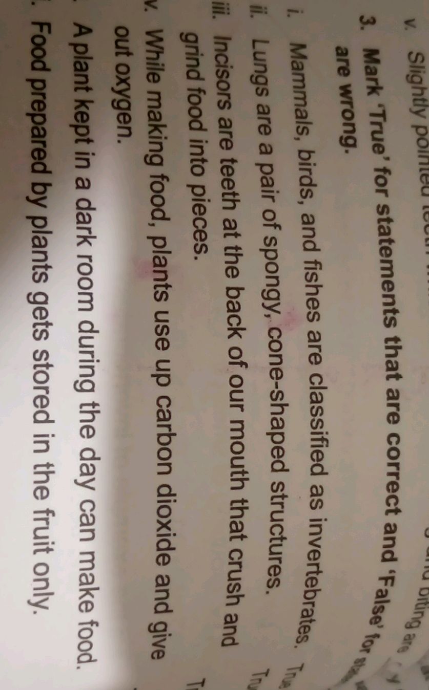 3. Mark 'True' for statements that are | StudyX