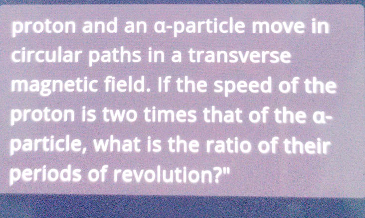 proton and an α-particle move in circular | StudyX