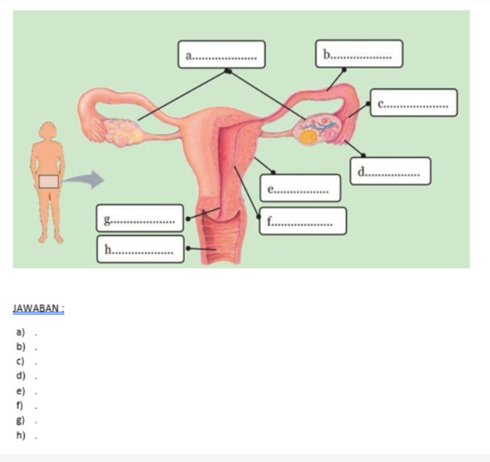 JAWABAN: a) . b) . c) . d) . e) . f) . g) . | StudyX