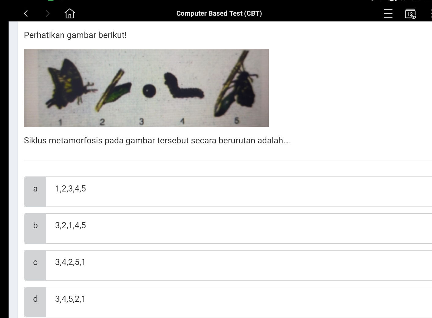 Perhatikan gambar berikut! Siklus | StudyX