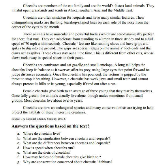 Answers the questions based on the text ! | StudyX