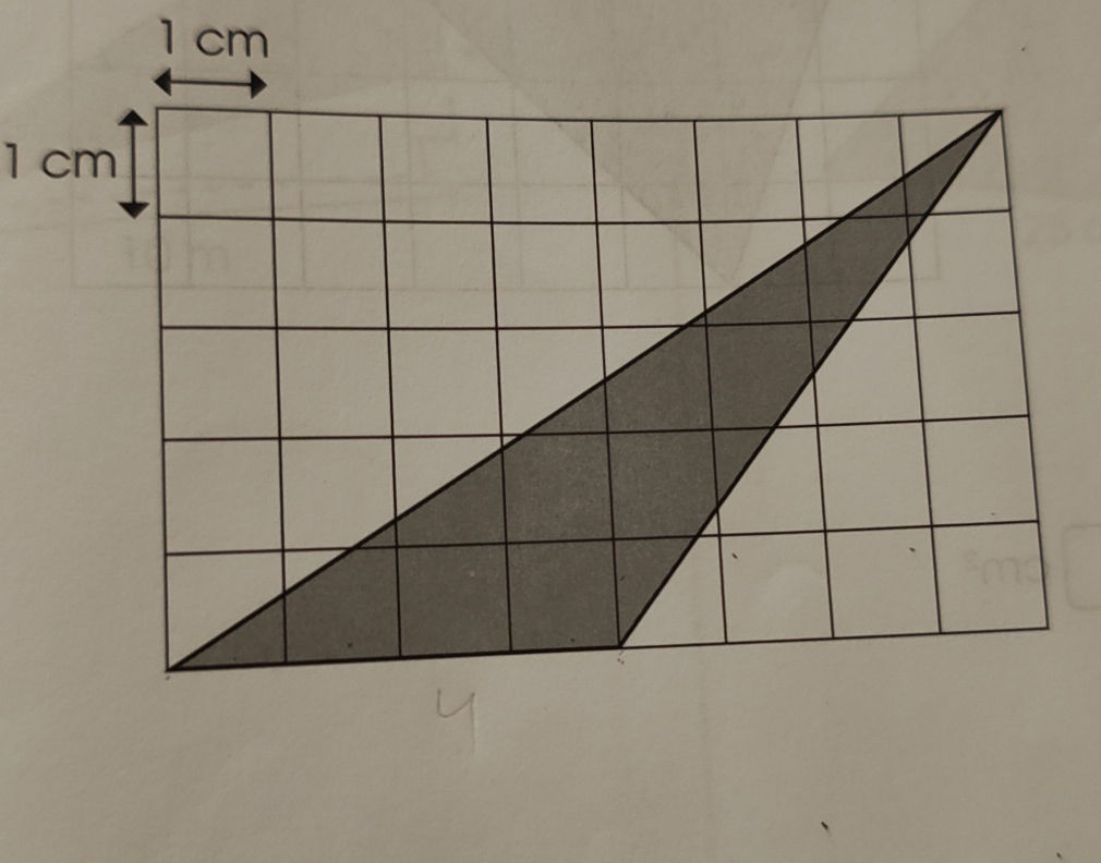 The image shows a triangle within a grid. | StudyX