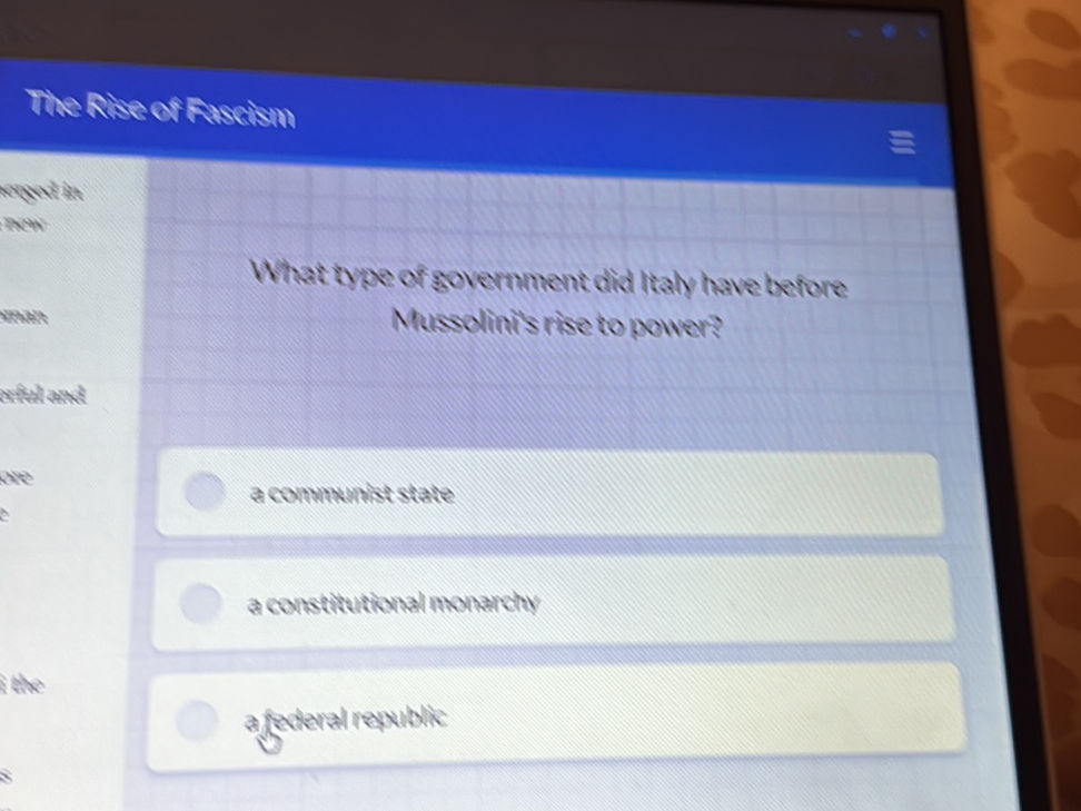 What type of government did Italy have | StudyX