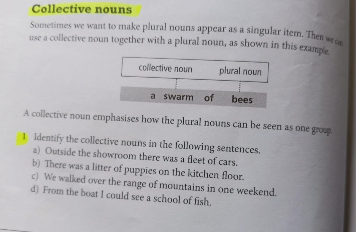 Identify the collective nouns in the | StudyX