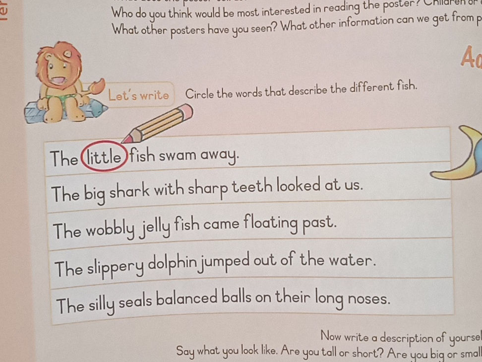 Circle the words that describe the different | StudyX