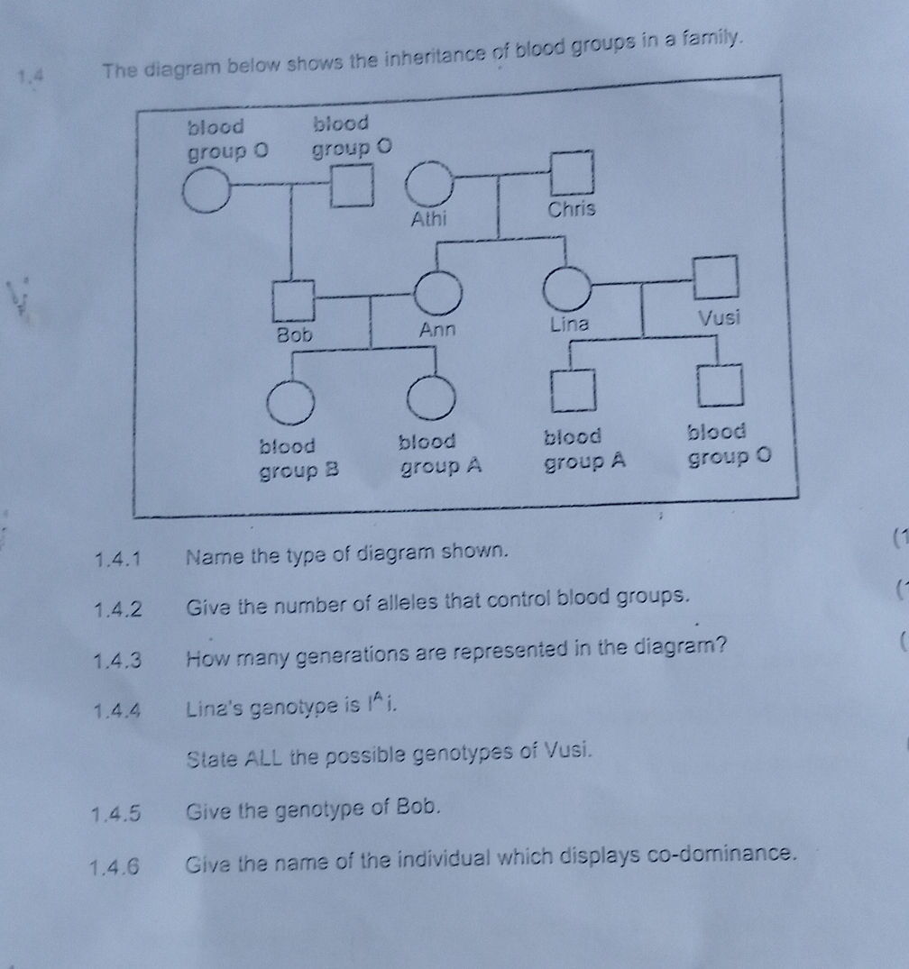 The diagram below shows the inheritance of | StudyX