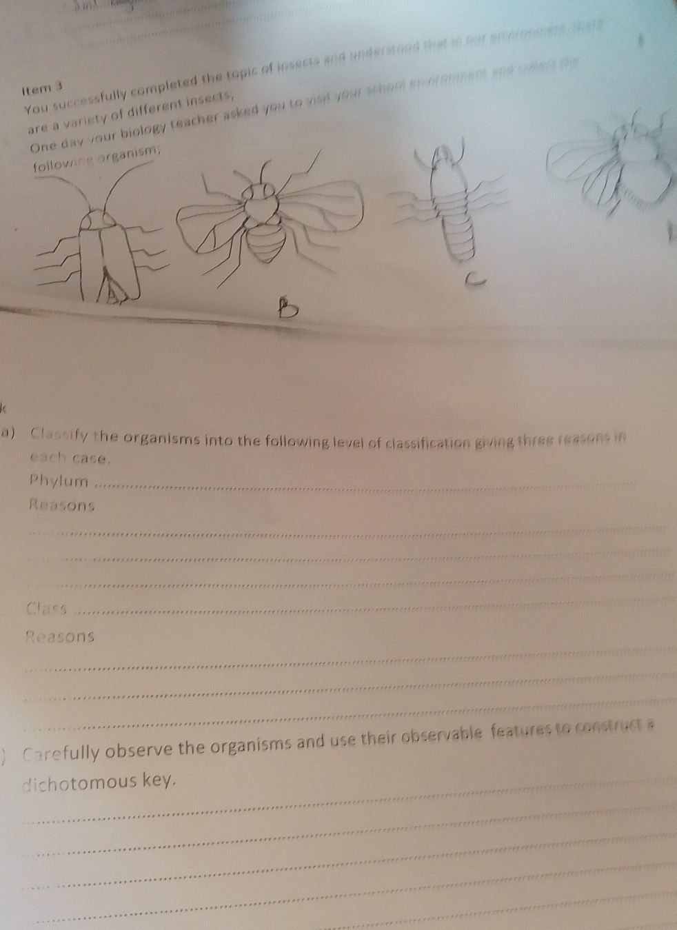 a) Classify the organisms into the following | StudyX