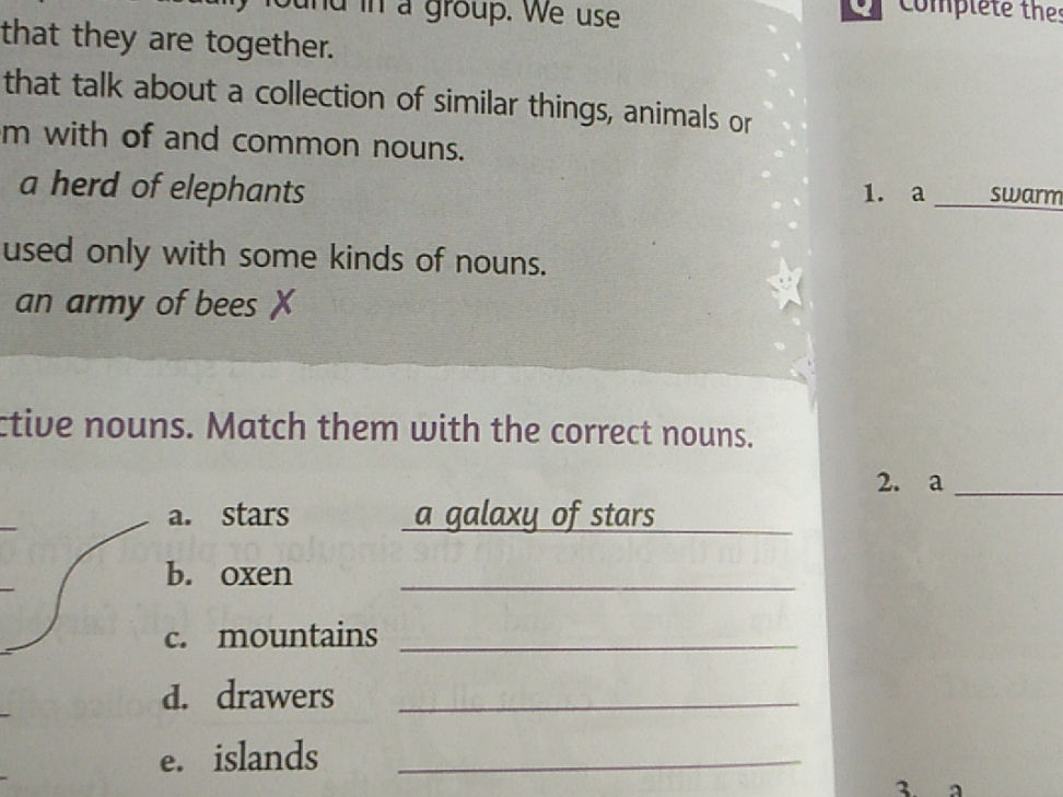 Match the collective nouns with the correct | StudyX