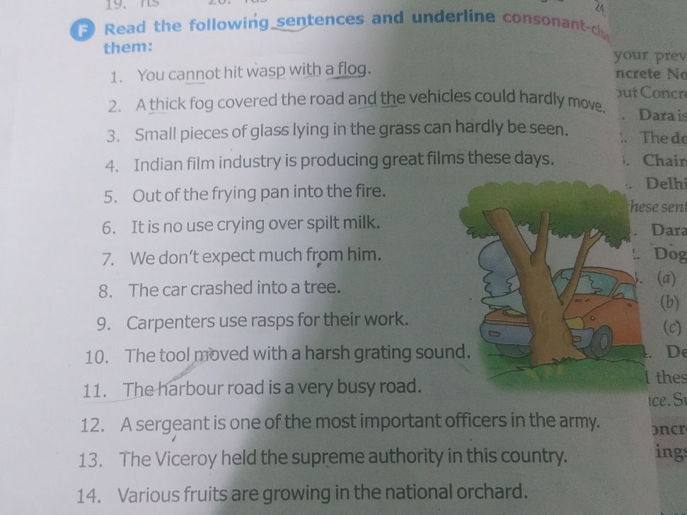 Read the following sentences and underline | StudyX