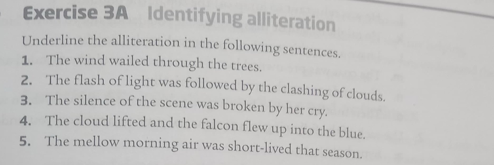 Exercise 3A Identifying alliteration | StudyX