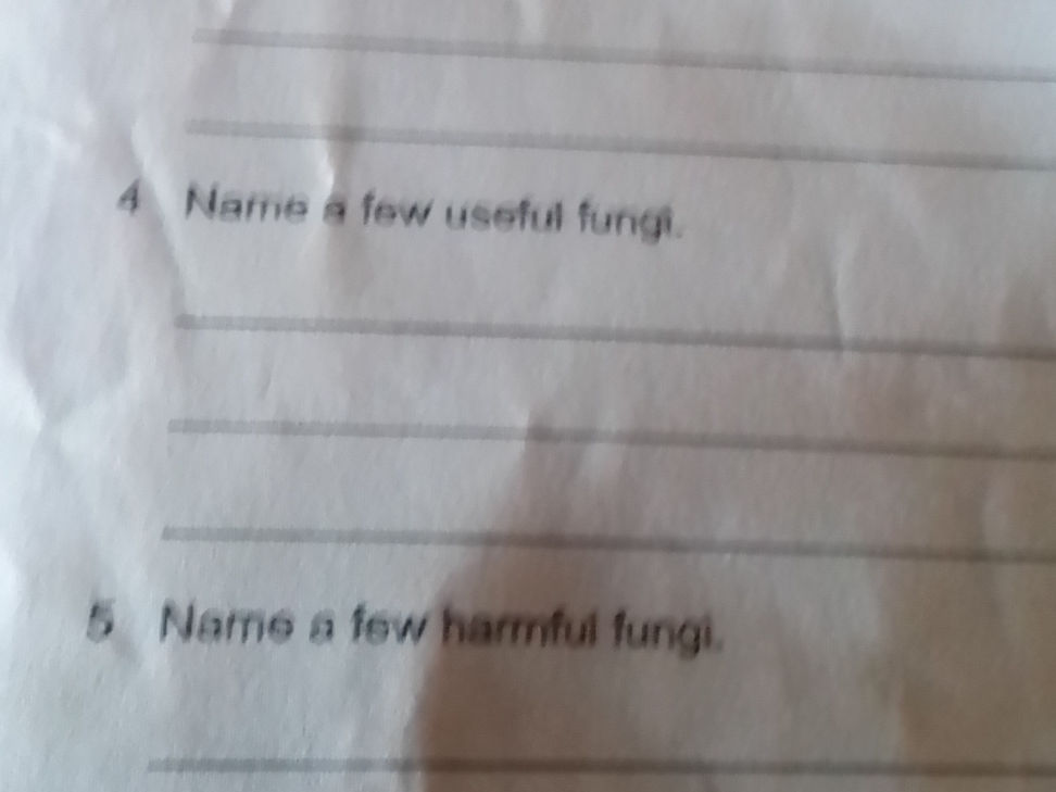Name a few useful fungi. 5. Name a few