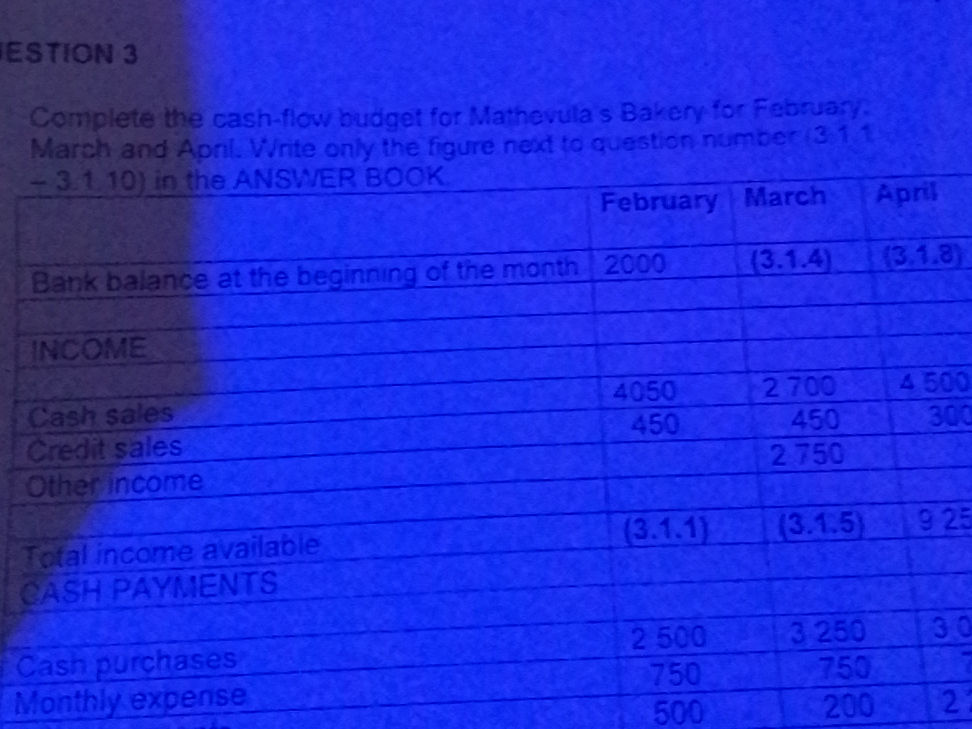 Complete the cash-flow budget for | StudyX