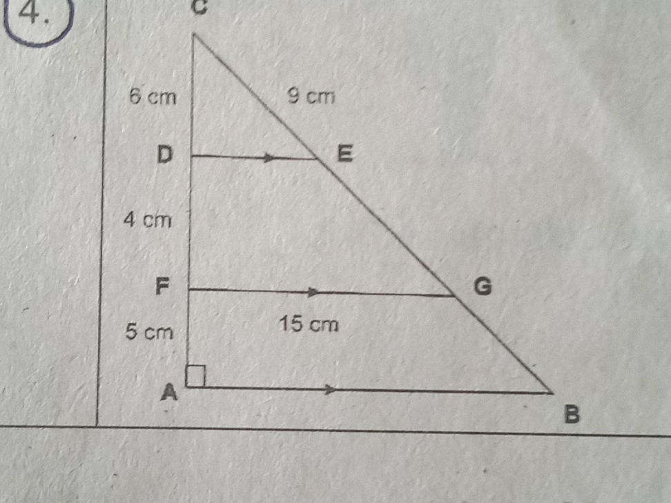 The image shows a triangle with several | StudyX