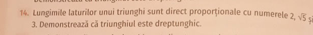 14. Lungimile laturilor unui triunghi sunt | StudyX